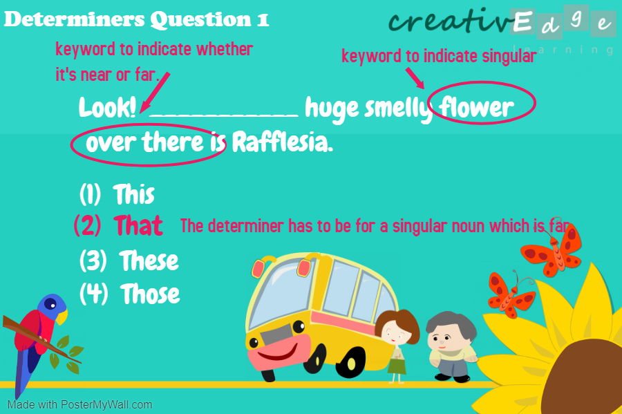 Grammar for Primary 1 English syllabus | Creativedge Learning