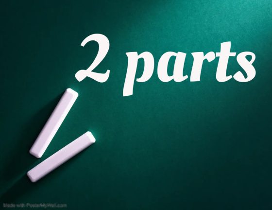 Primary 4 Phrasal verbs | CreativEdge